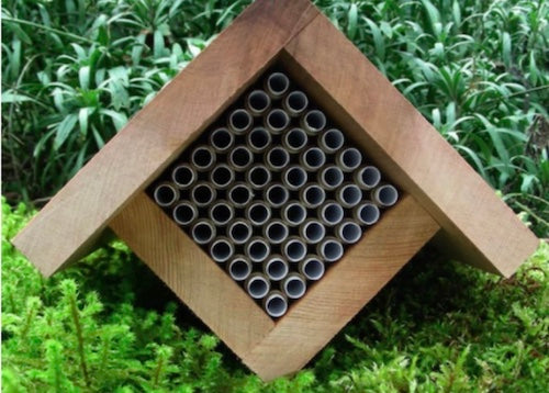 Mason Bee - Home Base – Home Grown Bee | Vancouver Island Beekeeping